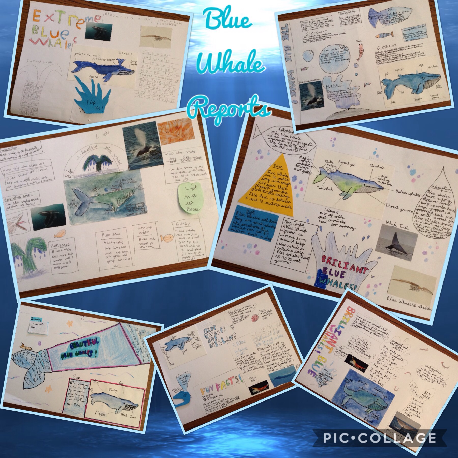 Friday 24th June | Lydgate Junior School