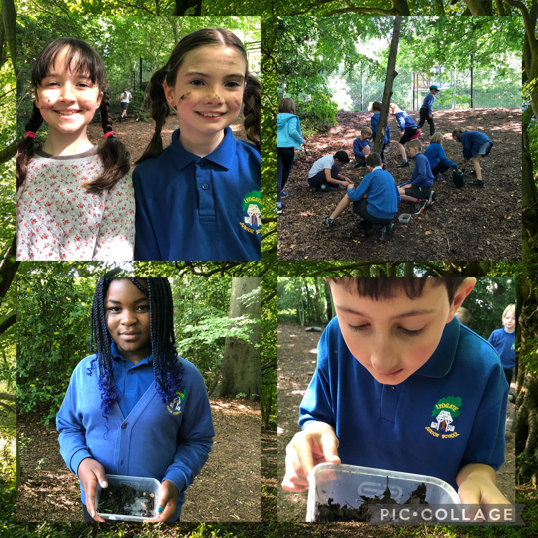 Friday 17th June 2022 | Lydgate Junior School